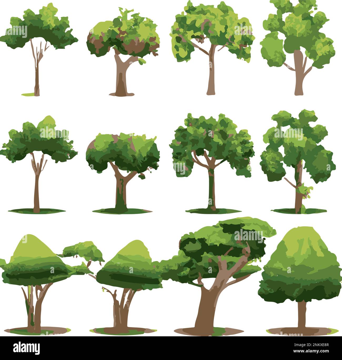 Foliage types of tree Stock Vector Images - Alamy