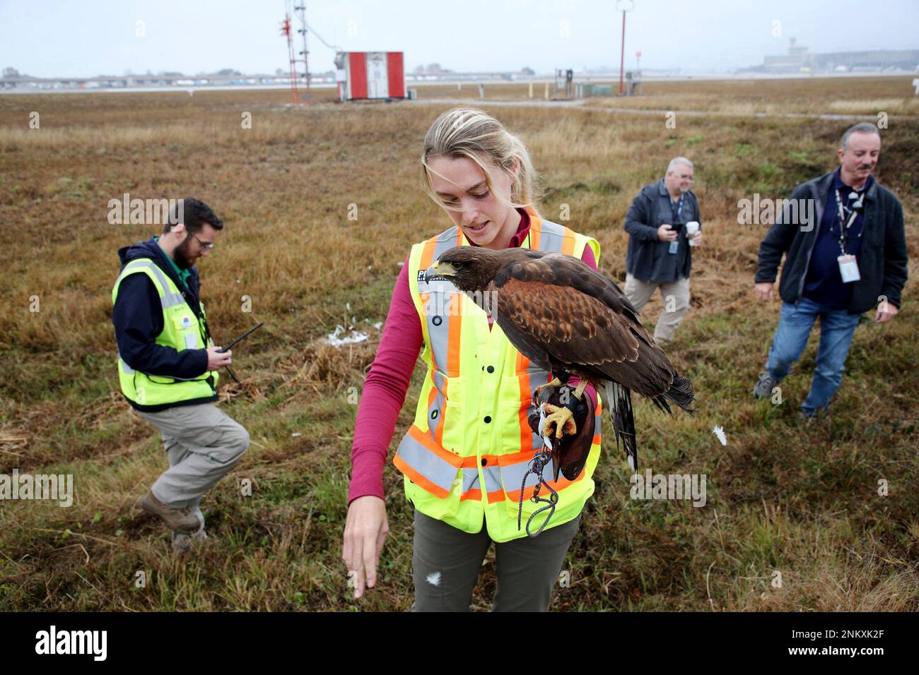 Jackie Hurd, director of operations with Predator Bird Services Inc ...