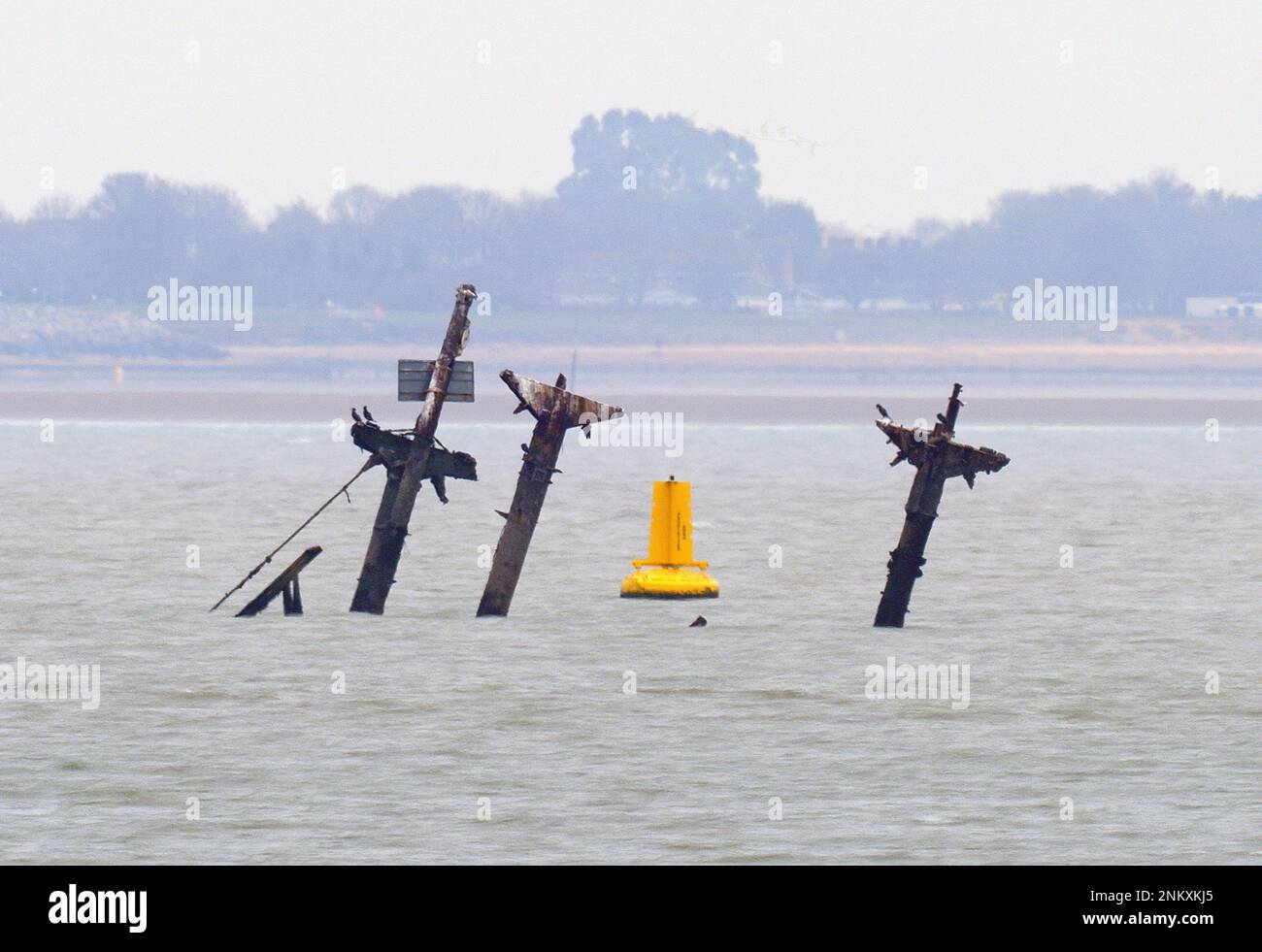 Sheerness, Kent, UK. 24th Feb, 2023. Thames shipwreck SS Richard ...