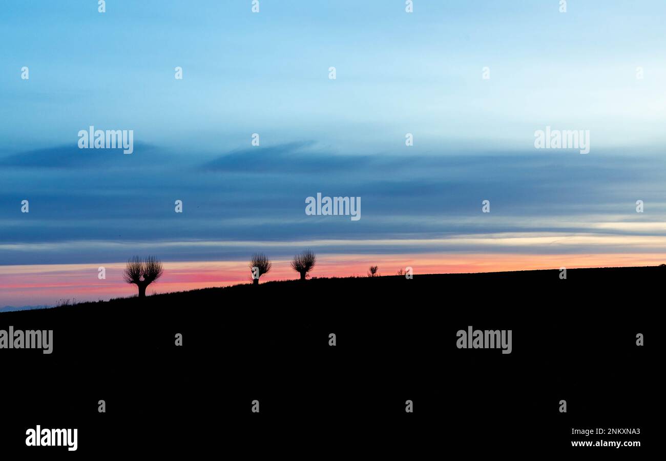 Beautiful Landscape Background with Trees and Clouds Forming in Dawn ...