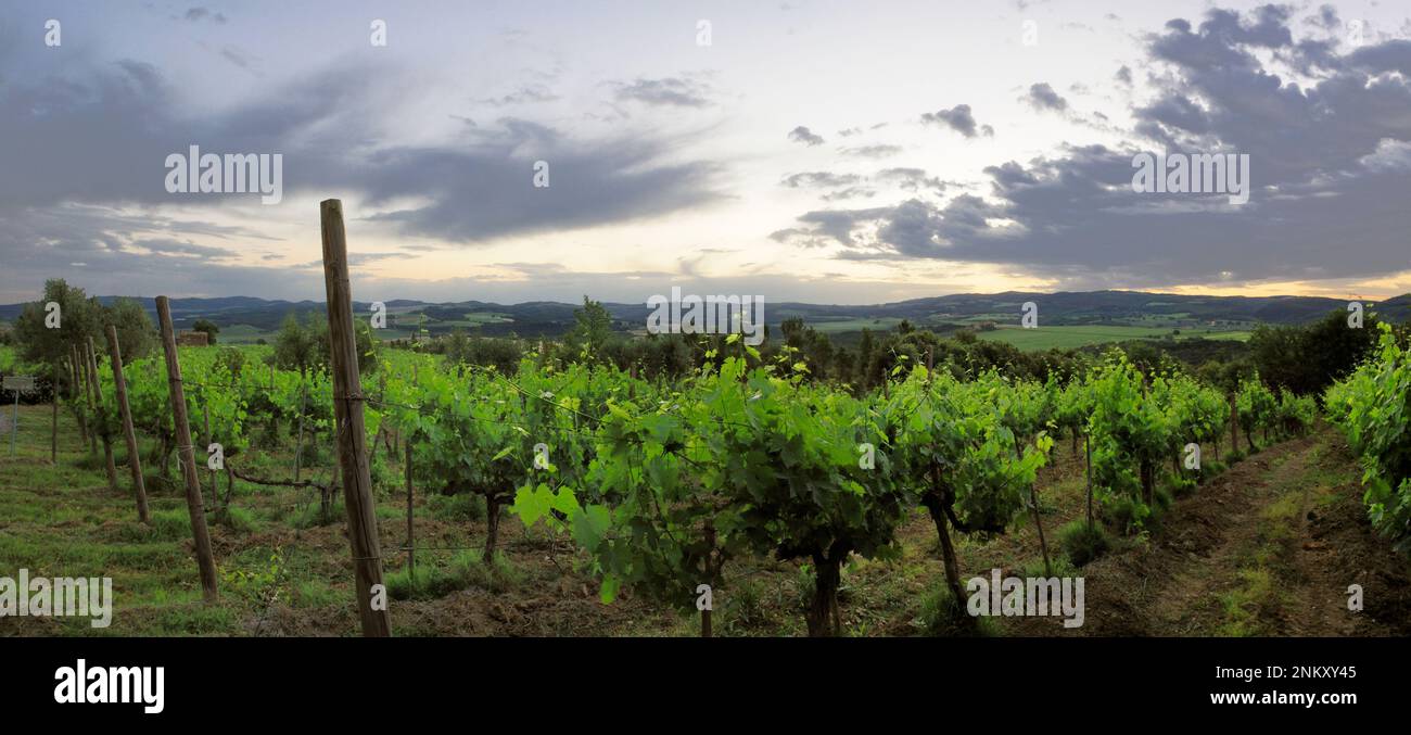Basilicata wines hi-res stock photography and images - Alamy