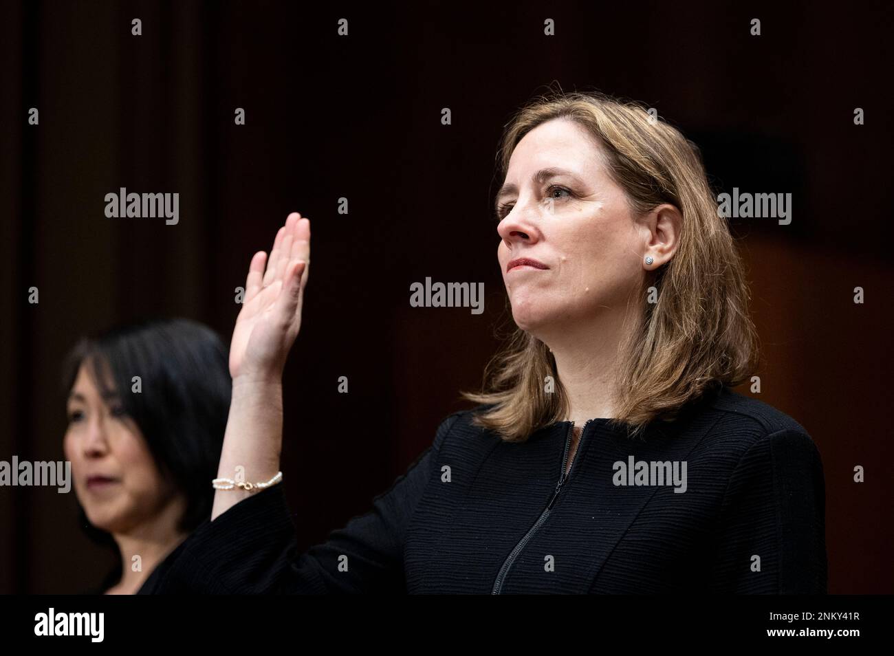 UNITED STATES - FEBRUARY 1: Jennifer Louise Rochon, nominee to be U.S ...