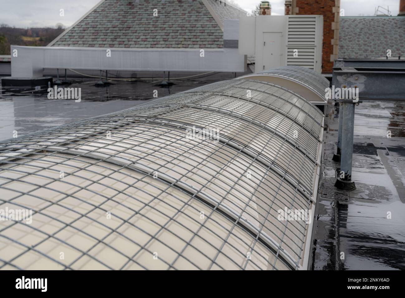 Barrel vault skylight screen fall protection guard installed on a ...