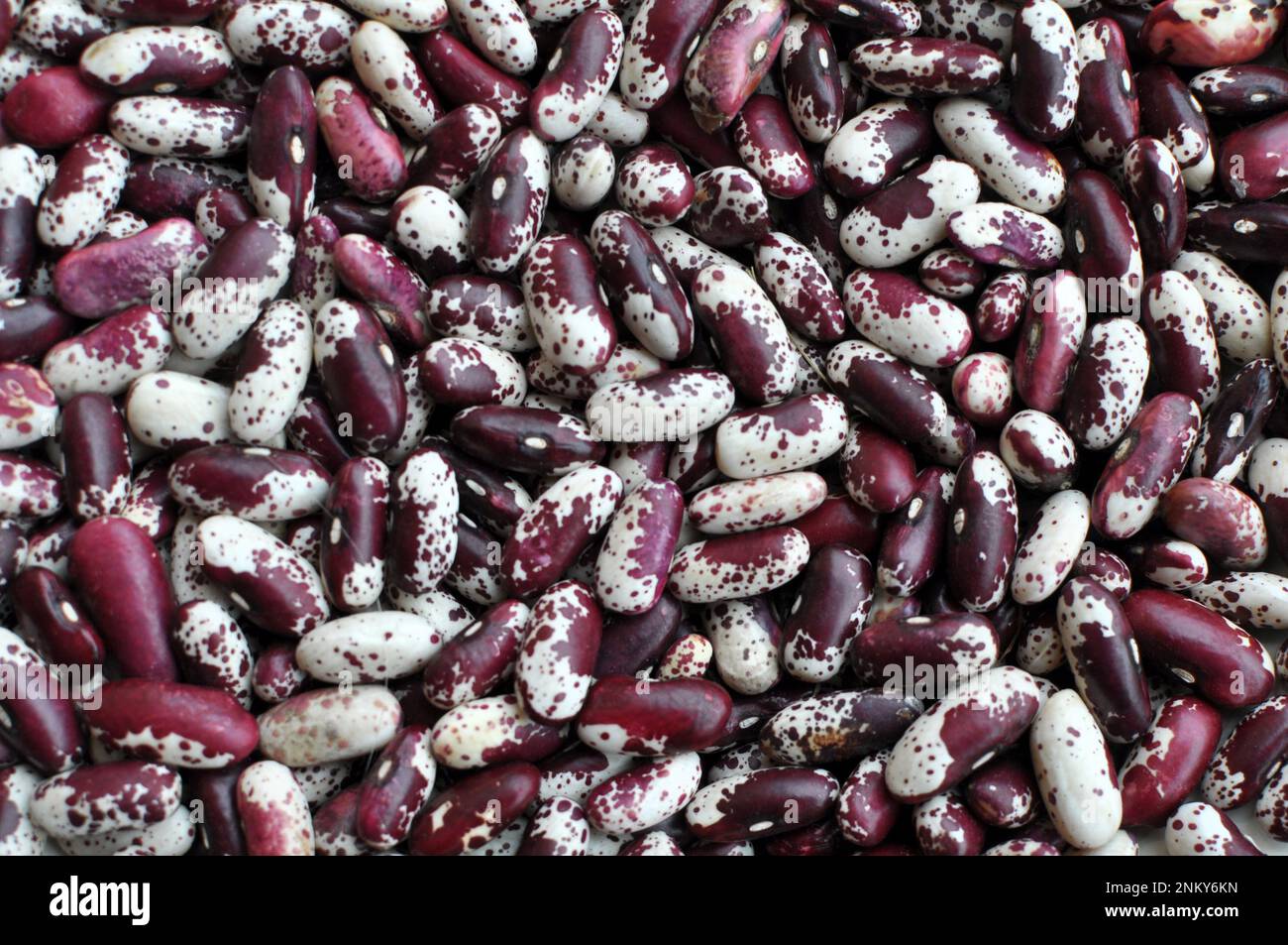Background from a crop of dry beans Stock Photo - Alamy