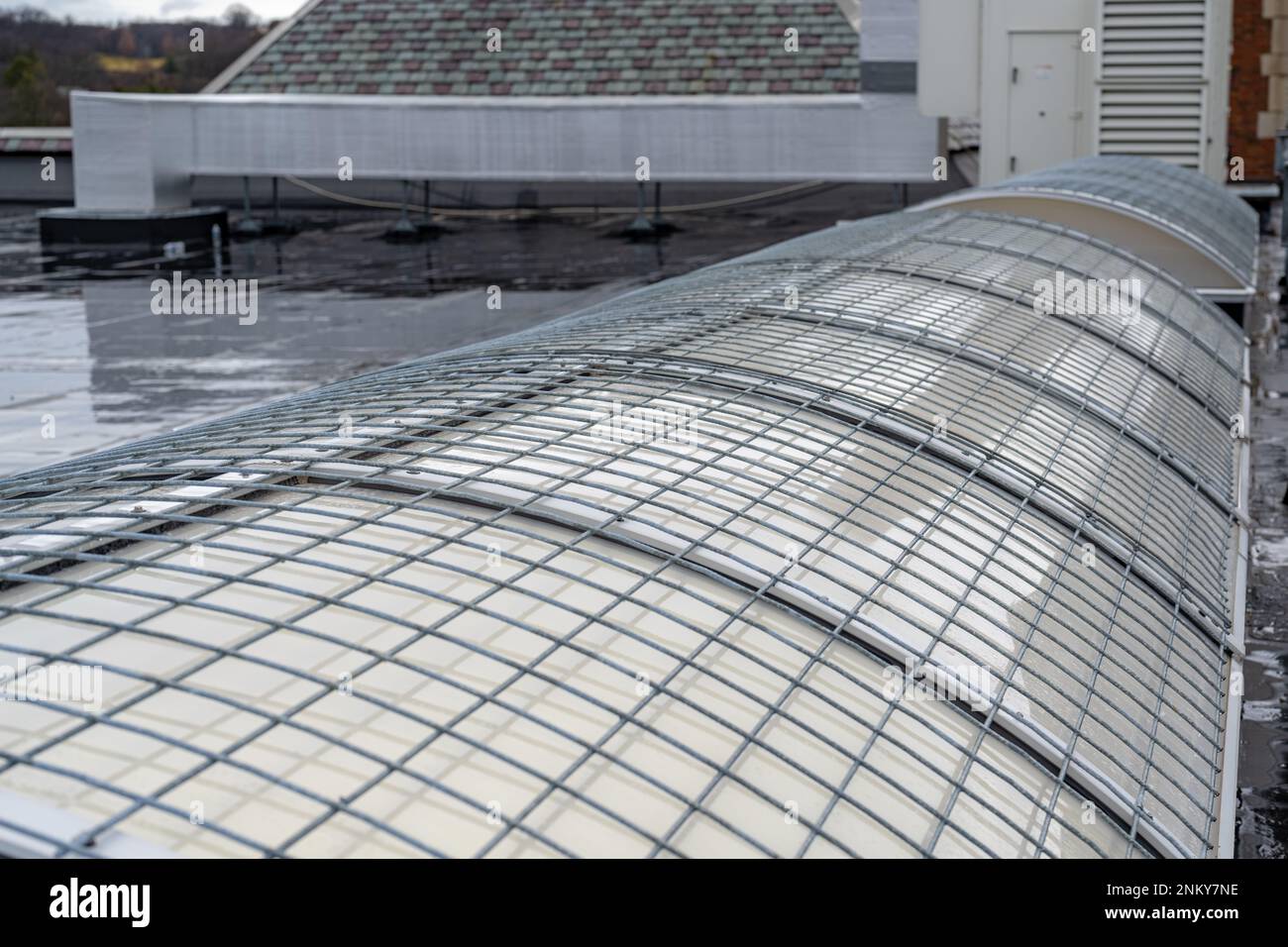 Barrel vault skylight screen fall protection guard installed on a ...