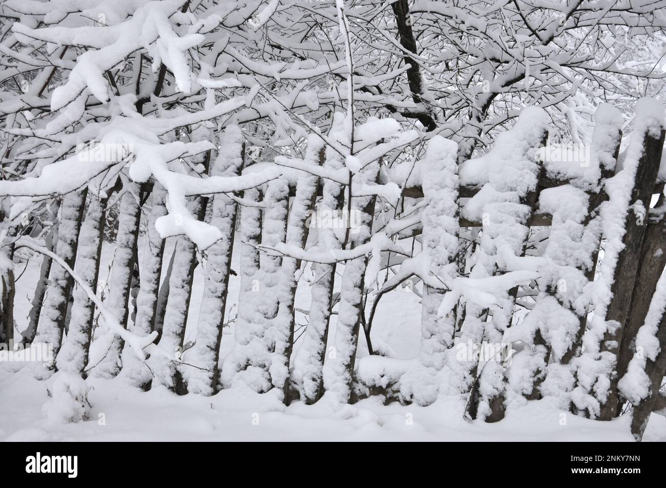 Winter landscape after the first snowfall Stock Photo - Alamy