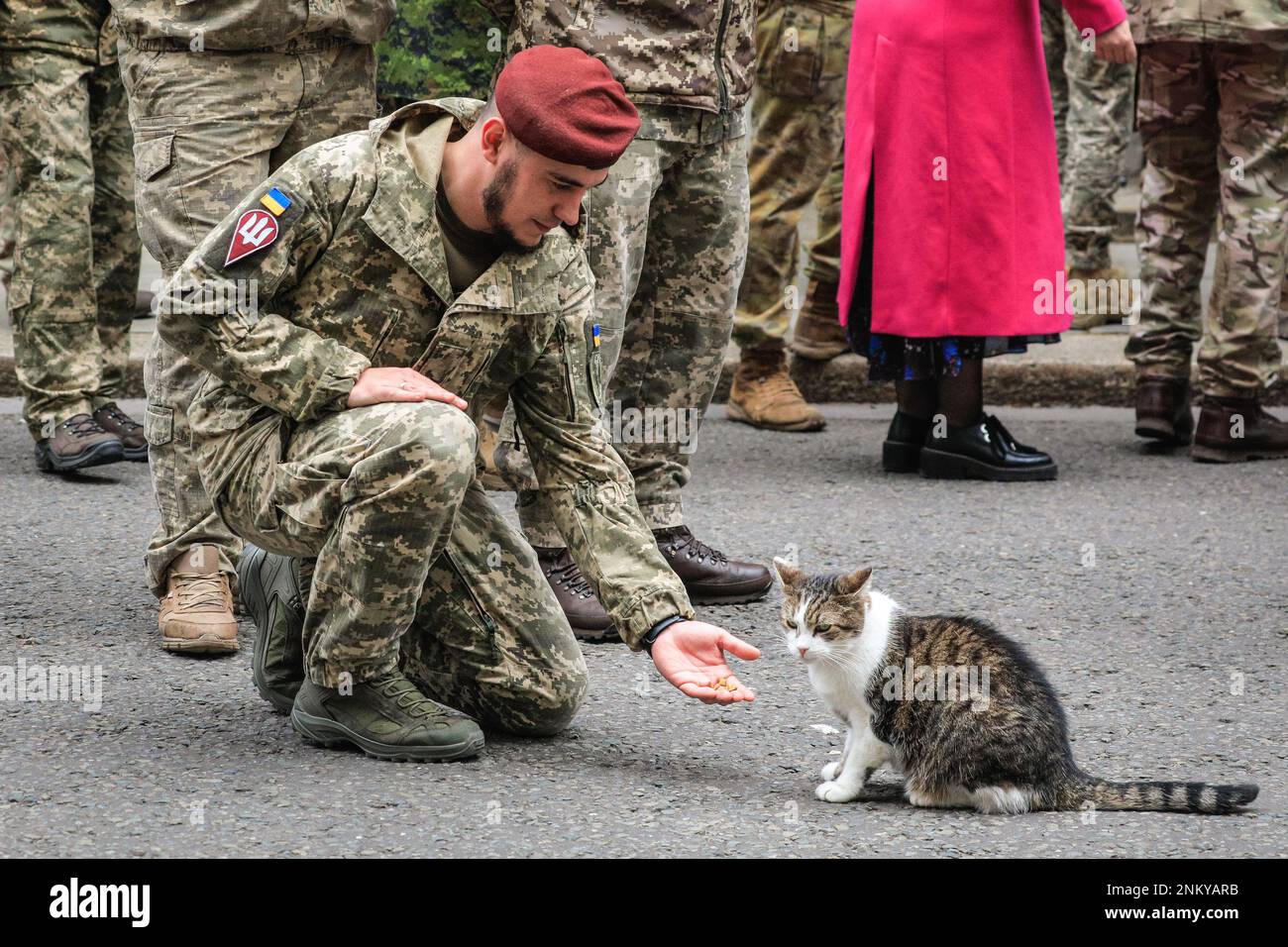 London, UK. 24th Feb, 2023. A soldier feeds Larry. Larry the Downing ...