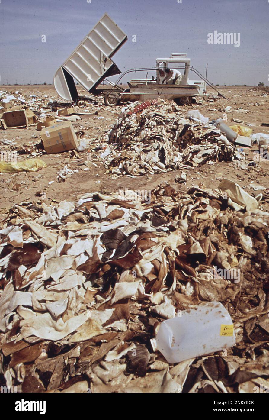 1970s America: Landfill operation at bottom of Salt River is shared by ...