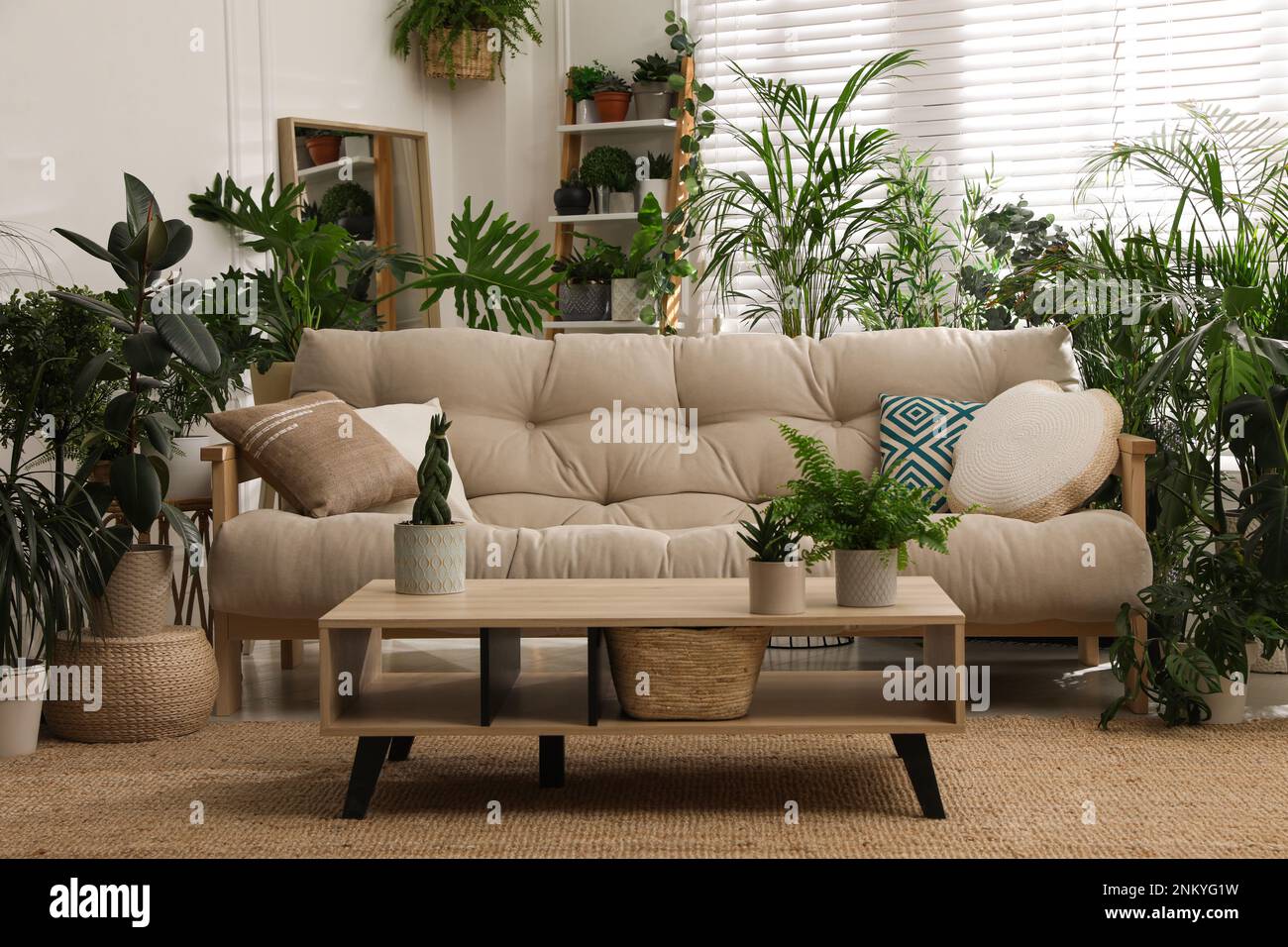 Stylish room interior with comfortable sofa and beautiful potted plants ...