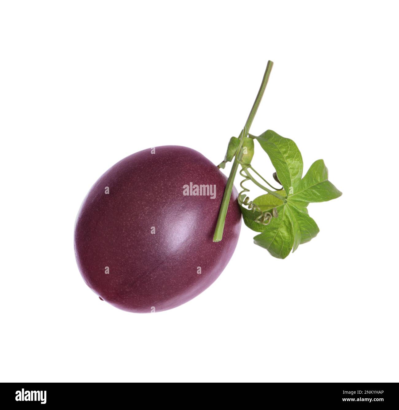 Passion fruit with leaves on white background. Passiflora plant Stock ...