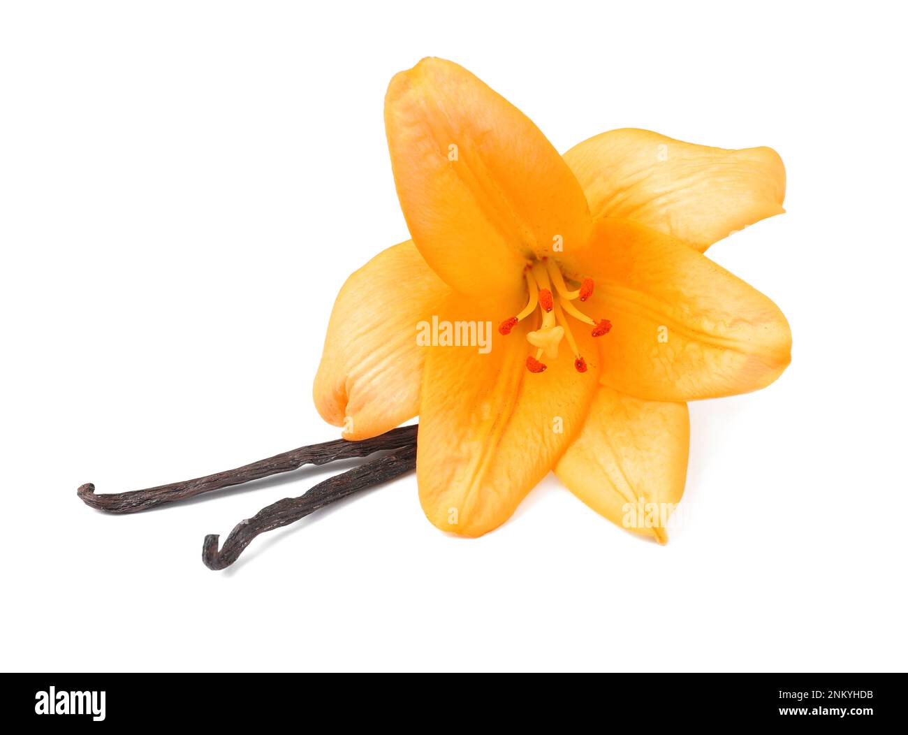 Vanilla lily hi-res stock photography and images - Alamy