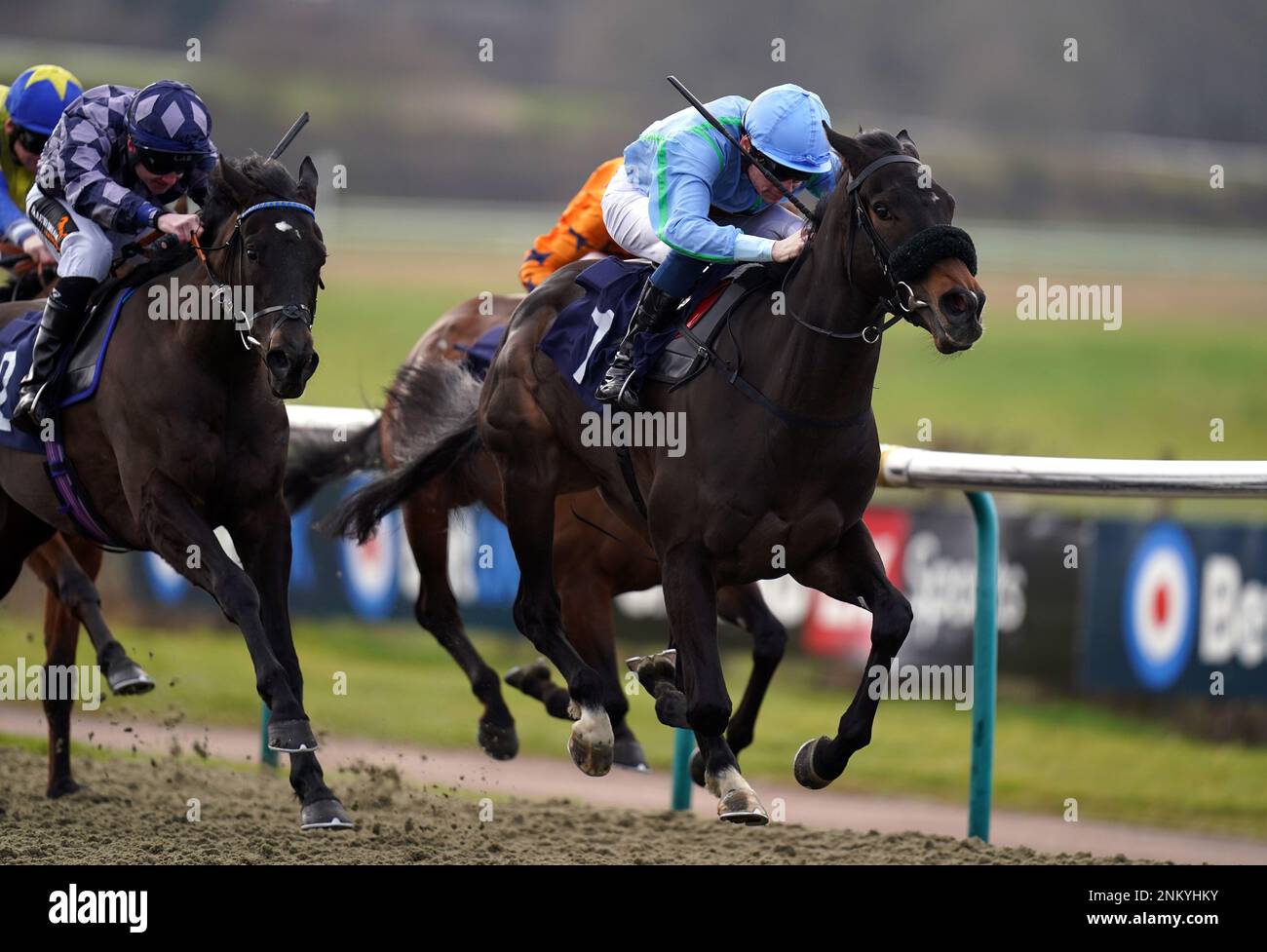 Cariad ridden by Callum Shepherd on their way to winning the talkSPORT ...