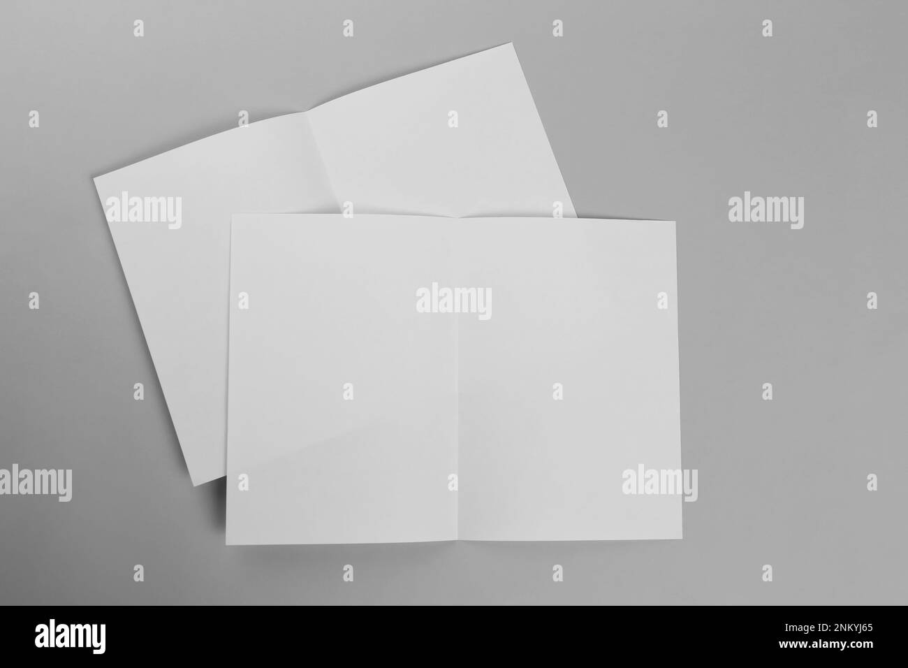 Blank paper brochures on light grey background, flat lay. Mockup for ...