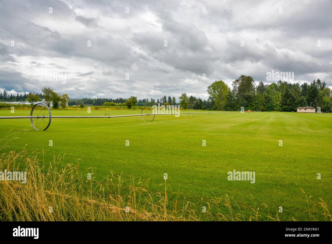 Wheel line irrigation system hi-res stock photography and images - Alamy