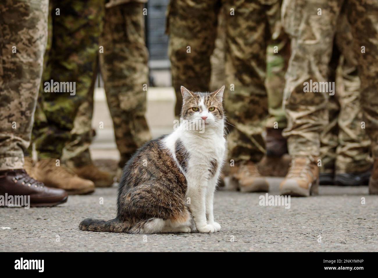 Ukrainian soldiers pose group hi-res stock photography and images - Alamy
