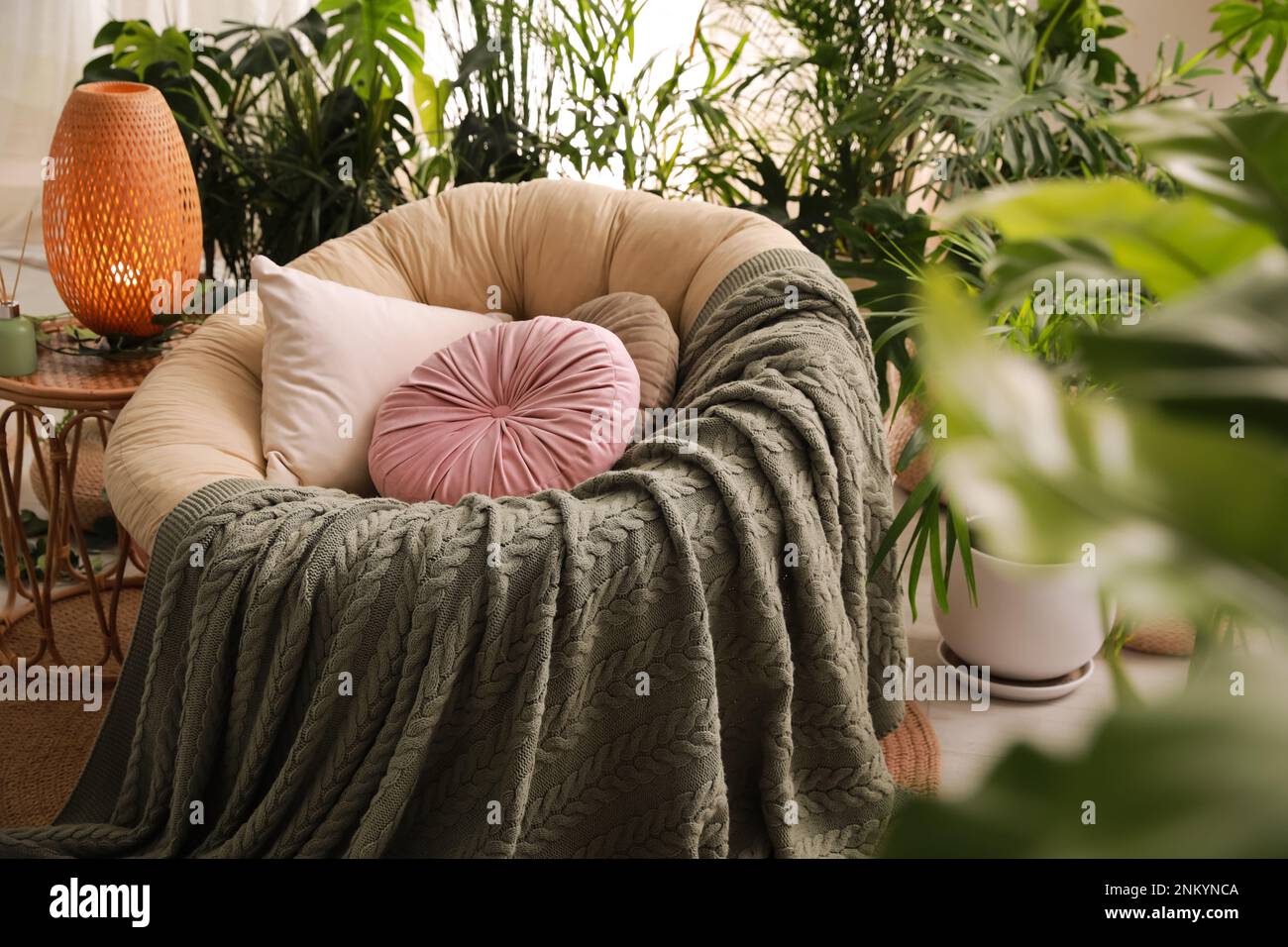 Indoor terrace interior with soft papasan chair and green plants Stock ...