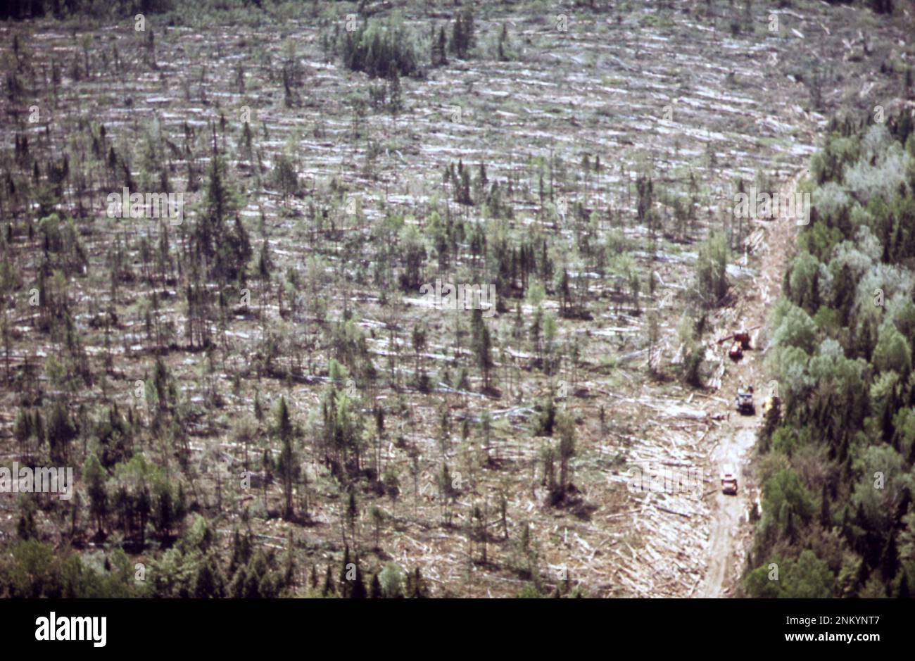 1970s United States: Aerial view of clear cutting operation of the ...
