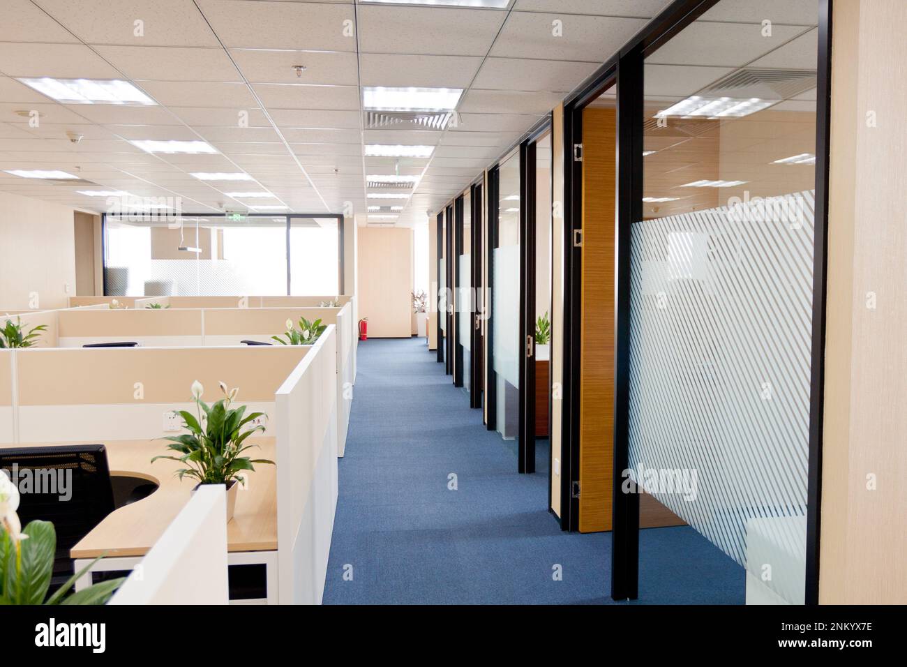 This modern office space features an open-plan layout and lush potted ...