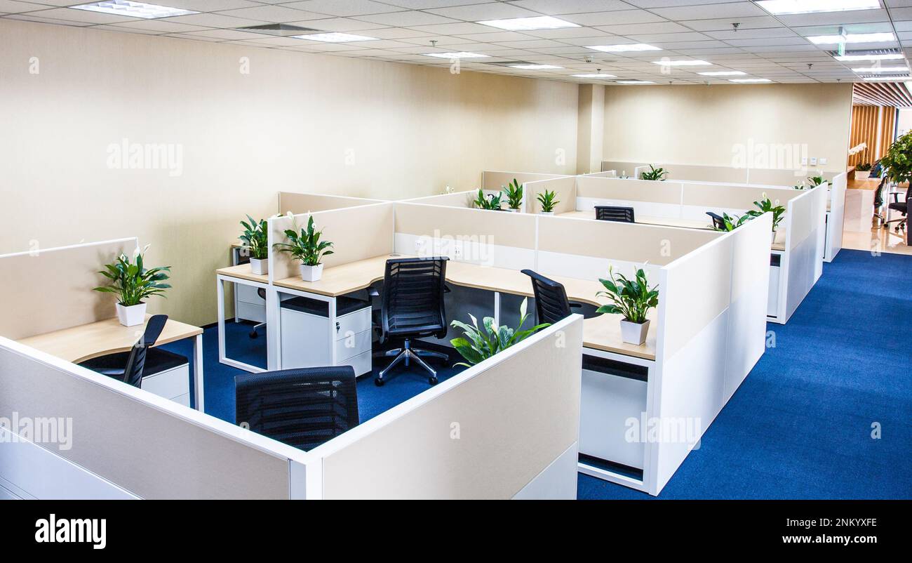A bright and modern office space featuring cubicles with potted plants and light-filled windows ...