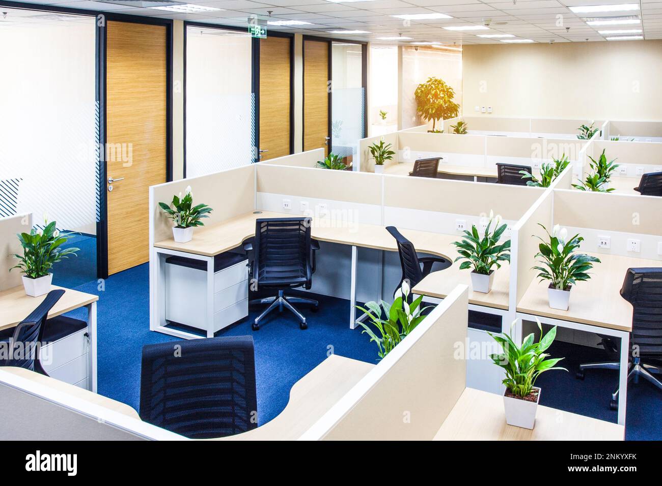 A bright and modern office space featuring cubicles with potted plants ...