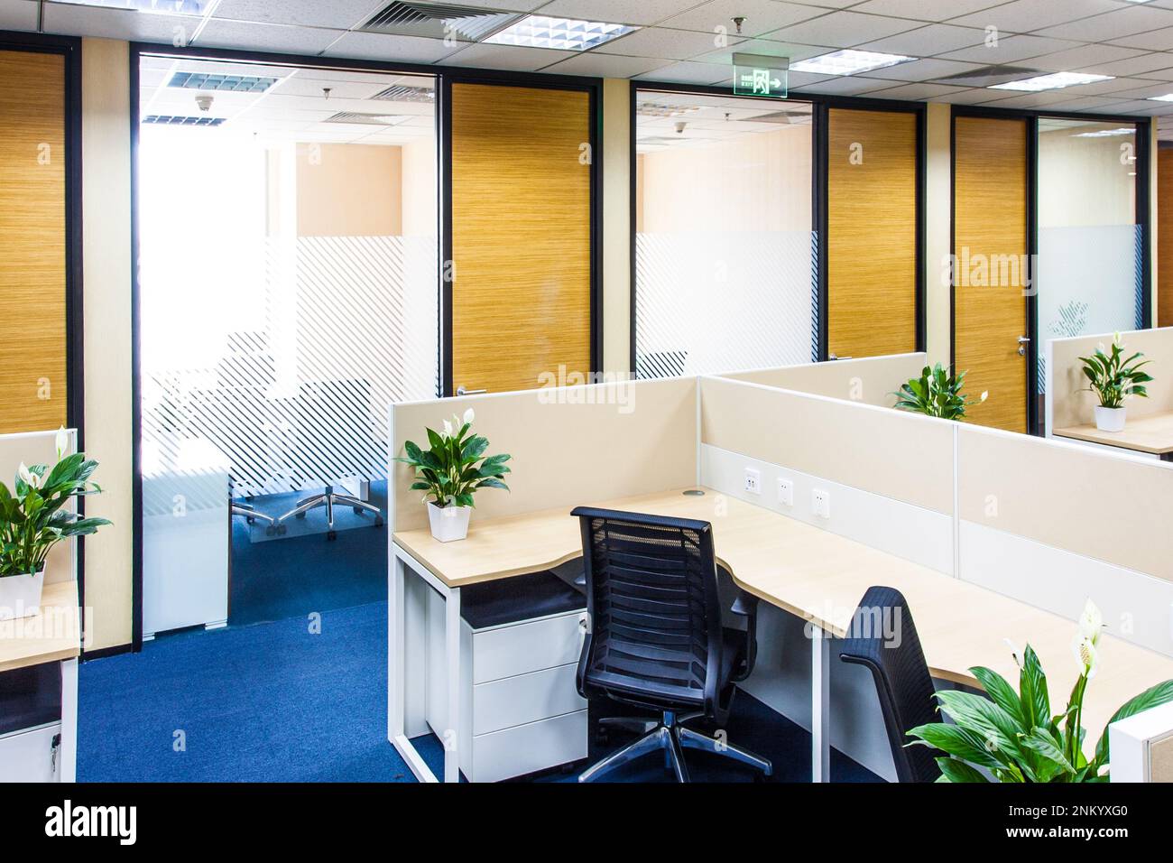 A bright and modern office space featuring cubicles with potted plants ...