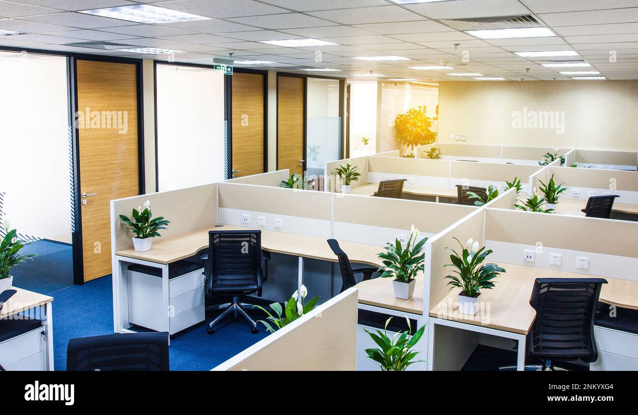 A bright and modern office space featuring cubicles with potted plants and light-filled windows ...