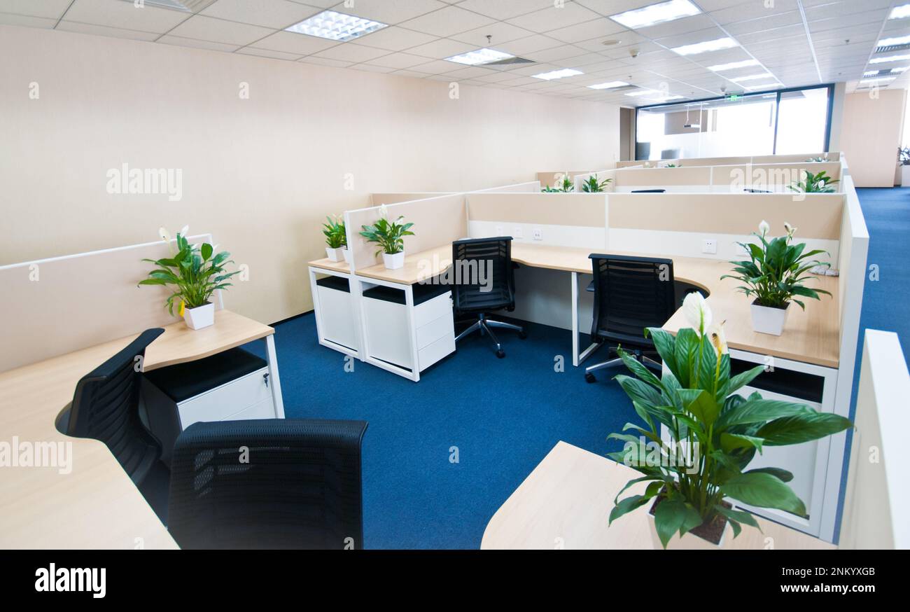 A bright and modern office space featuring cubicles with potted plants and light-filled windows ...