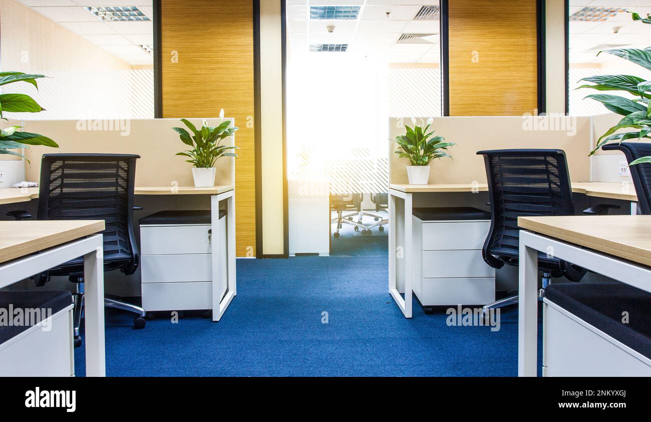 A bright and modern office space featuring cubicles with potted plants ...
