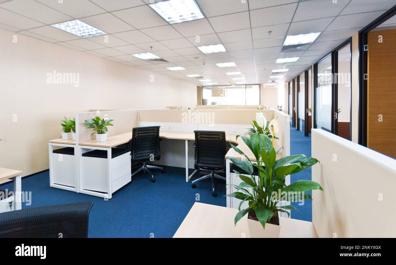 A bright and modern office space featuring cubicles with potted plants ...