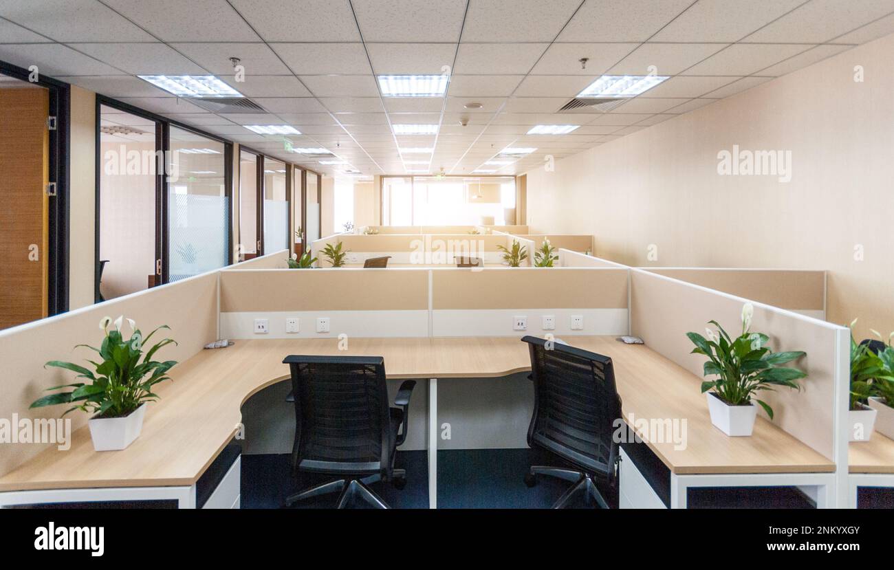 A bright and modern office space featuring cubicles with potted plants and light-filled windows ...