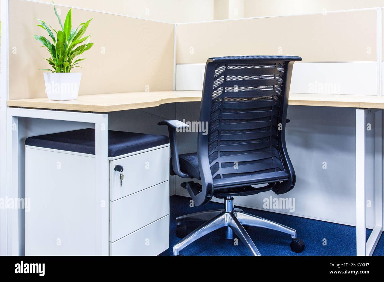 A bright and modern office space featuring cubicles with potted plants ...