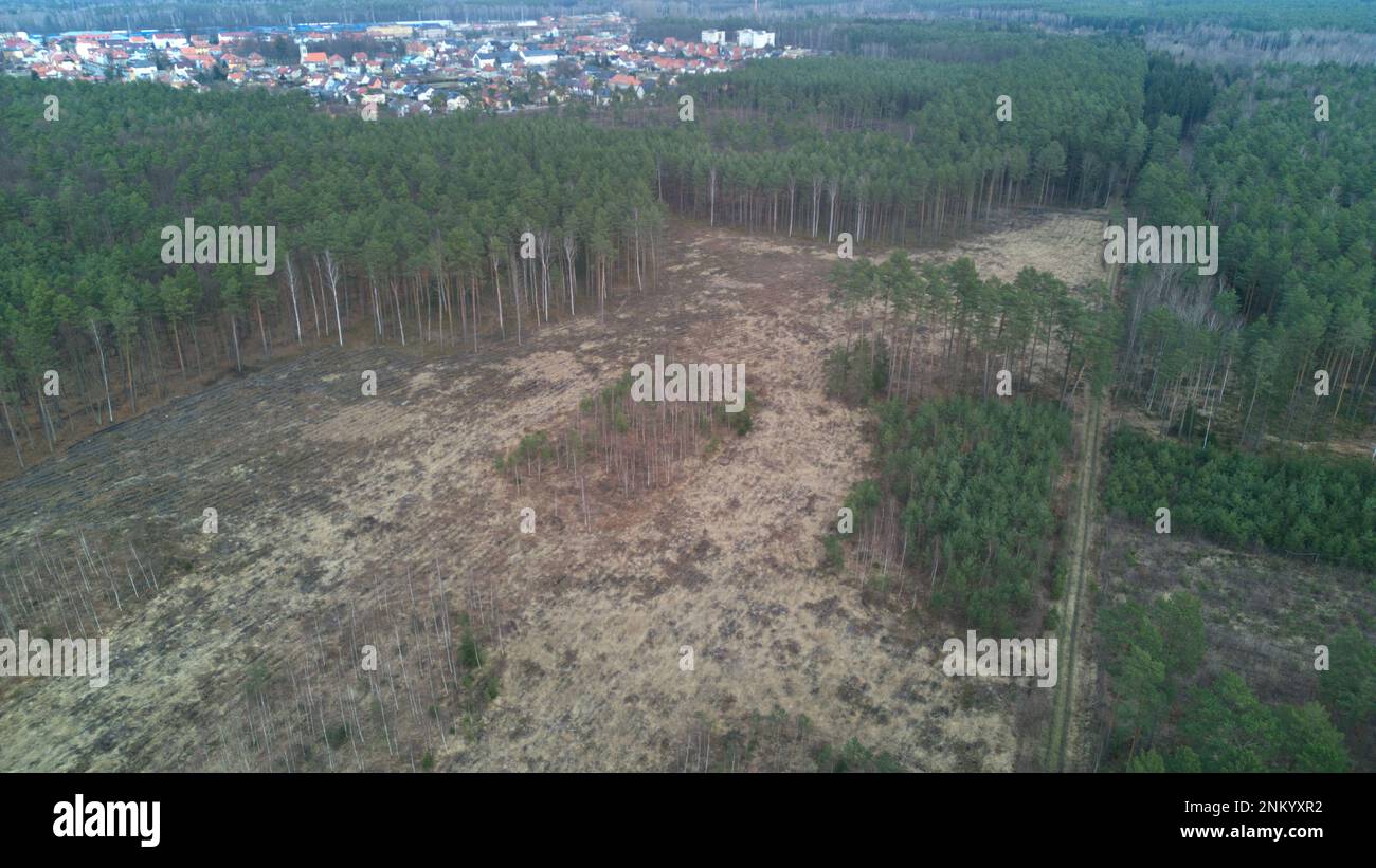 Rainforest deforestation aerial view hi-res stock photography and ...