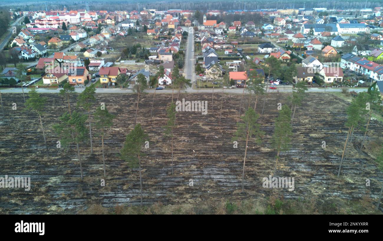Aerial view above damaged nature at a deforestation area, drone top ...