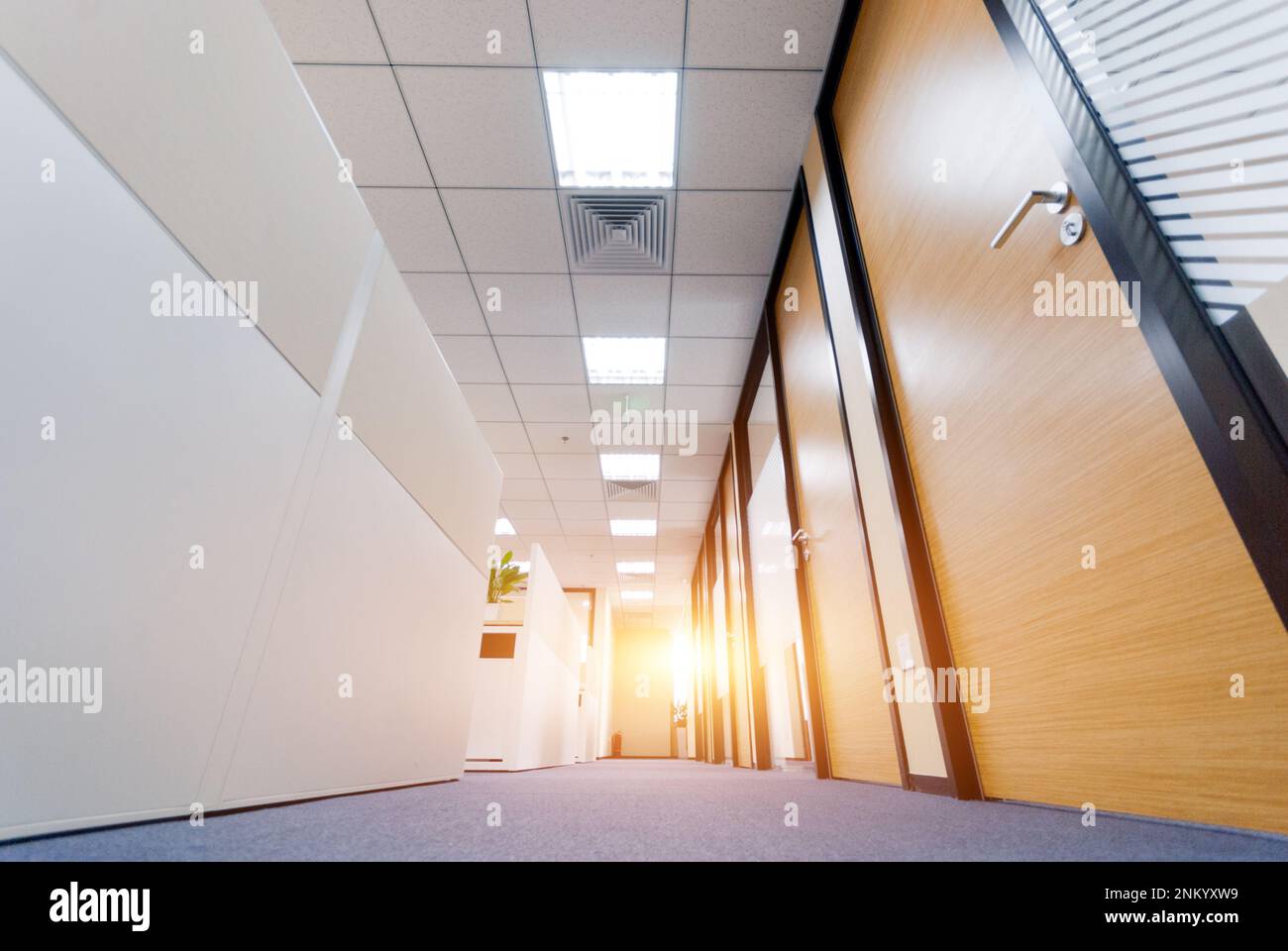An empty and immaculate hallway, devoid of people and activity Stock ...