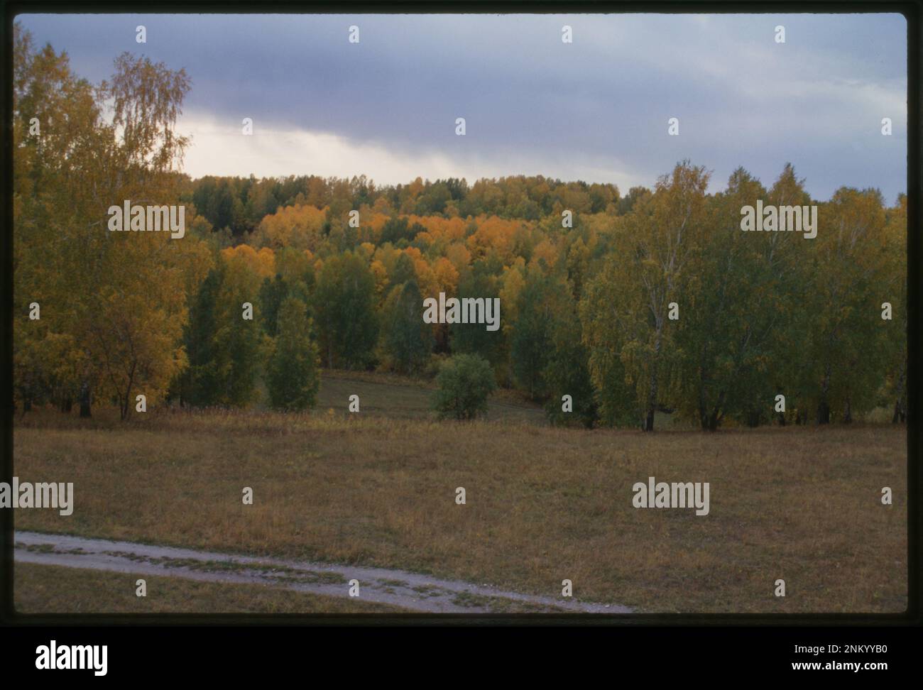 The Siberian fall landscape in Akademgorodok, Russia, showcases vibrant ...