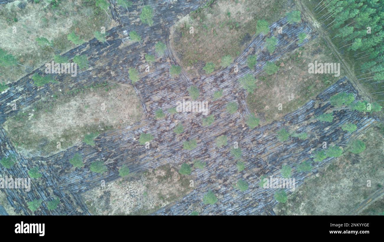 Rainforest deforestation aerial view hi-res stock photography and ...