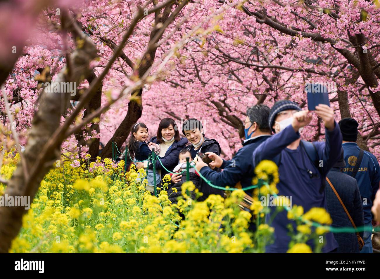 Kawazu, Japan. 24th Feb, 2023. People enjoy early-blooming Kawazu ...