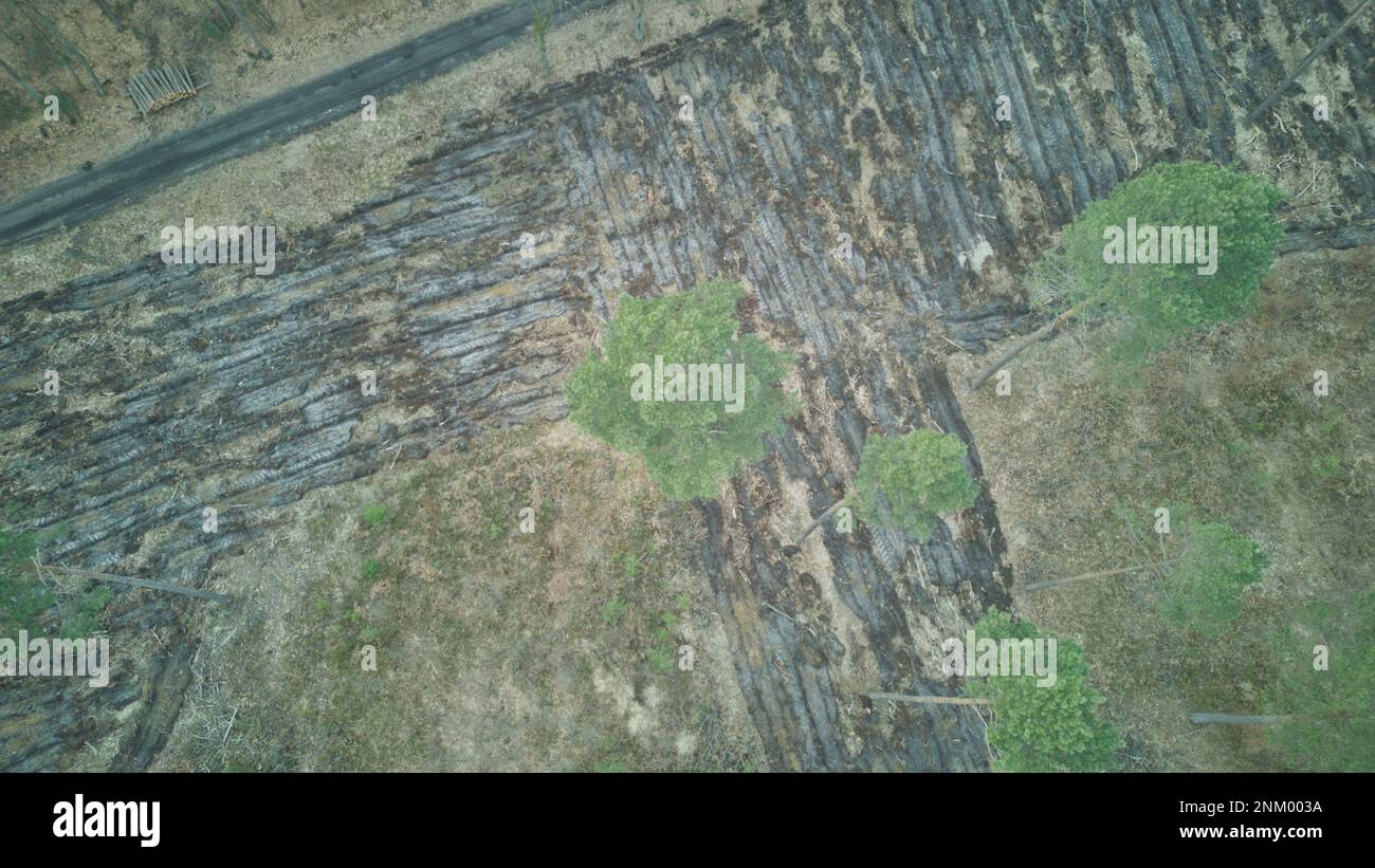 Aerial view above damaged nature at a deforestation area, drone top ...