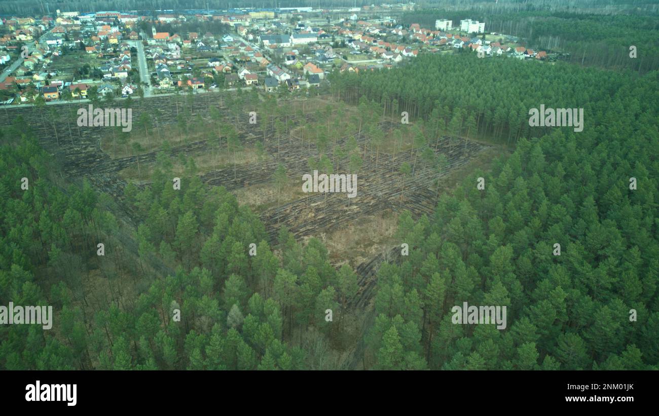 Aerial view above damaged nature at a deforestation area, drone top ...