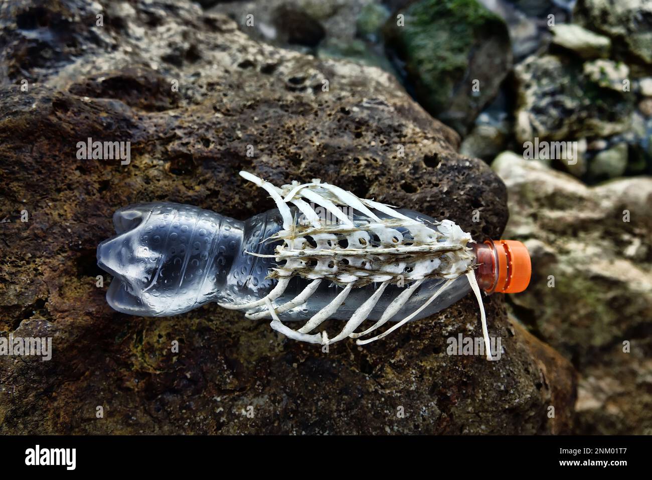 Plastic pollution of sea. Nature is fighting with garbage Stock Photo ...