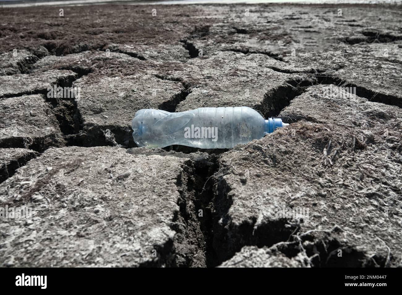 Drought and prairie littering. An old plastic bottle on the cracked ...