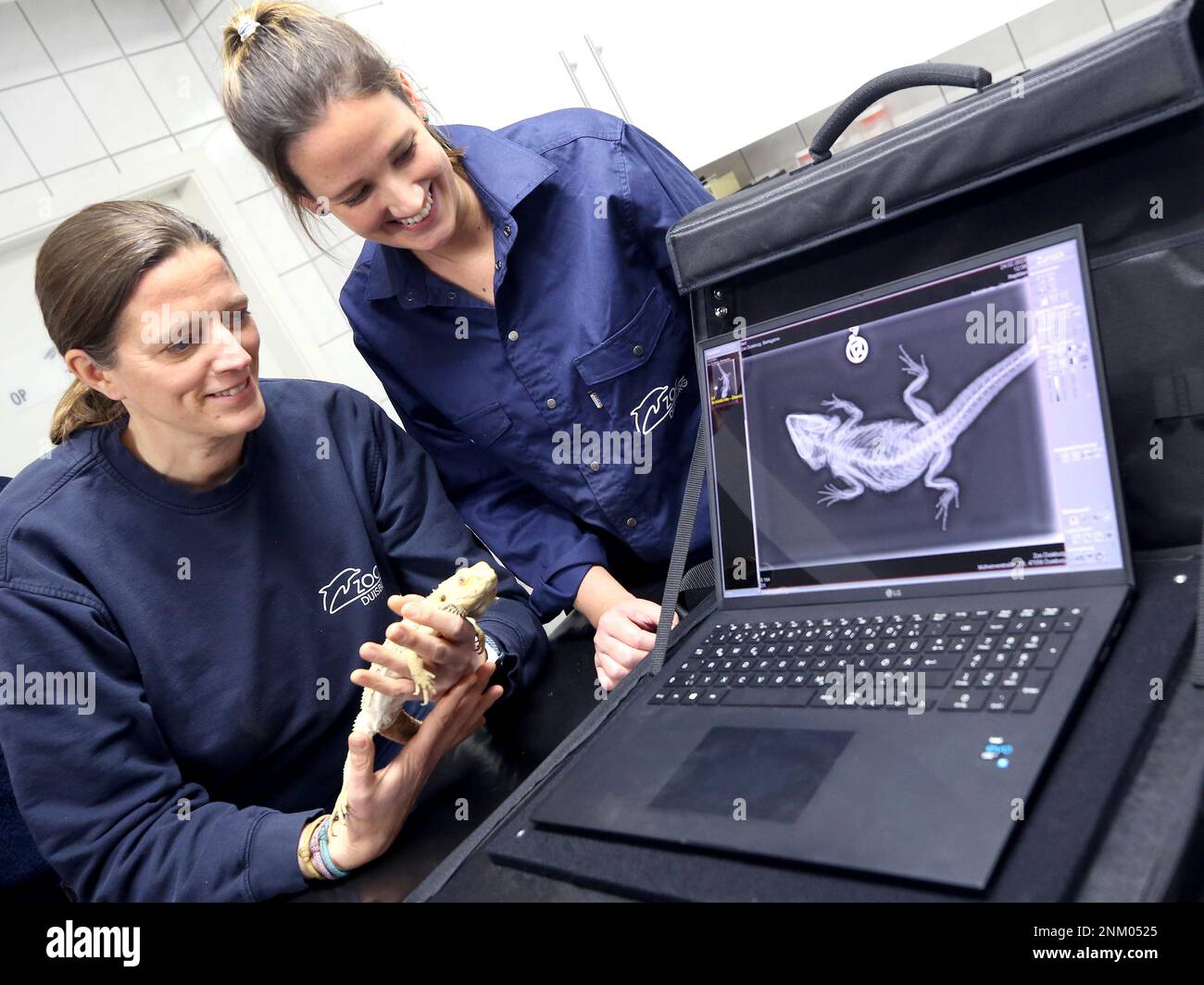 Duisburg, Germany. 24th Feb, 2023. Veterinarians Carolin Bunert (right ...