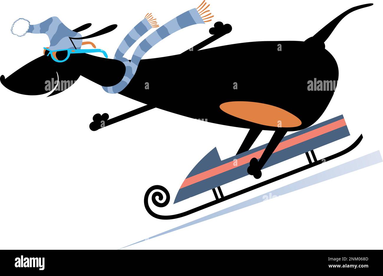 Cartoon dog rids on sledge illustration. Cartoon dachshund rides on ...