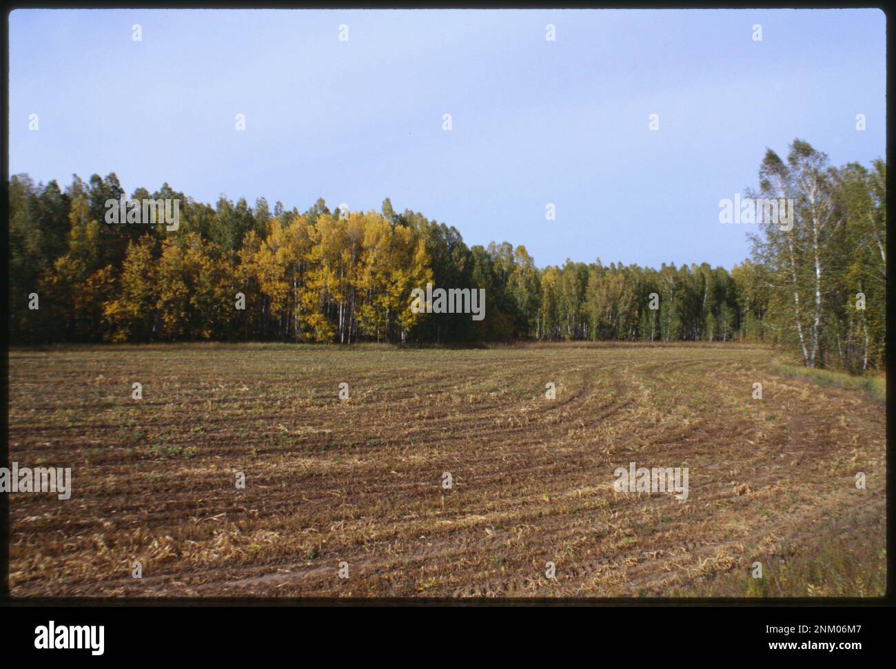 Federation 1990 2000 hi-res stock photography and images - Alamy