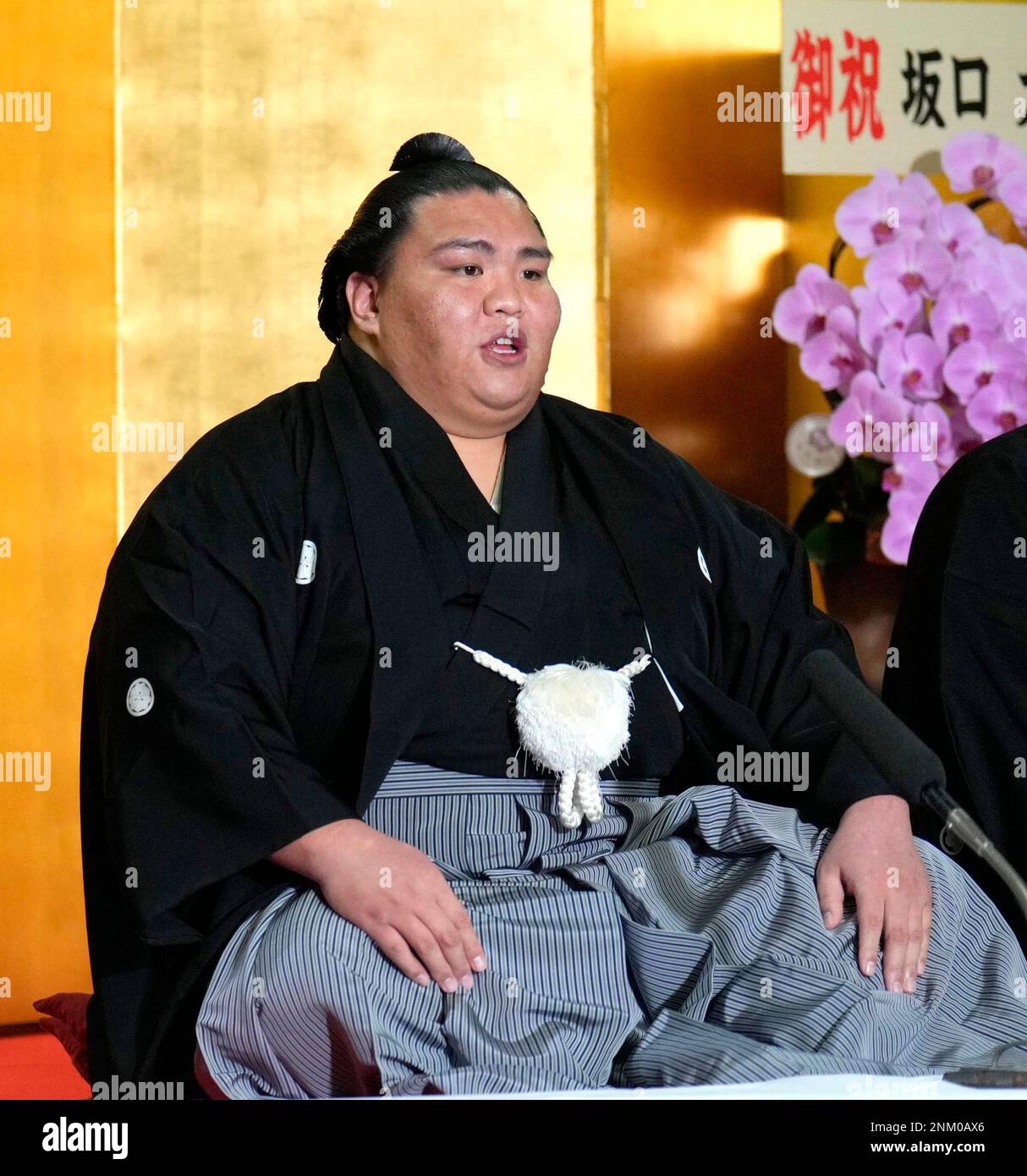Sekiwake Mitakeumi, a sumo wrestler speaks at a news conference after ...