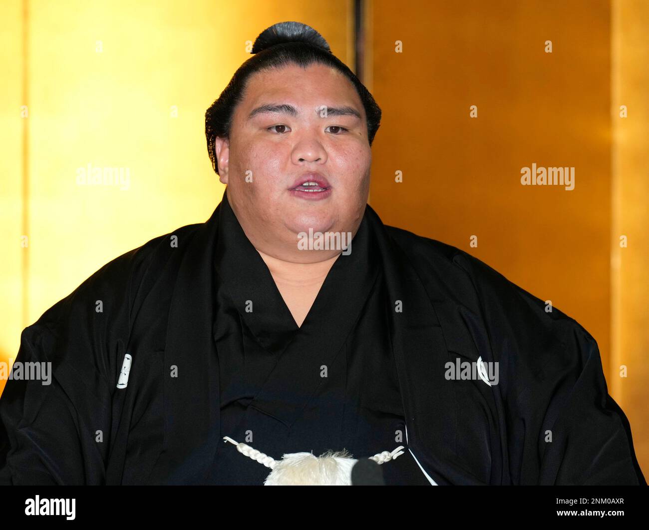 Sekiwake Mitakeumi, a sumo wrestler speaks at a news conference after ...