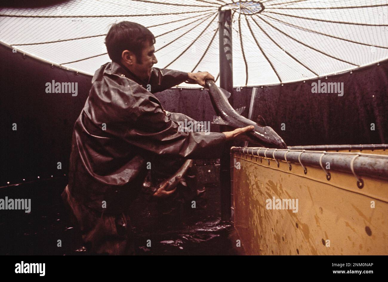 1970s United States: At the research station on pollution and ...