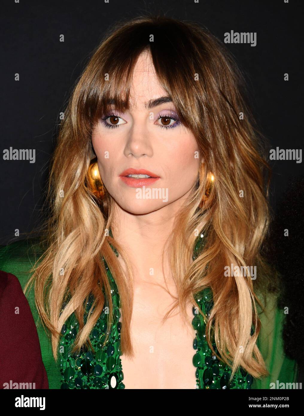 HOLLYWOOD, CALIFORNIA - FEBRUARY 23: Suki Waterhouse attends the Los ...