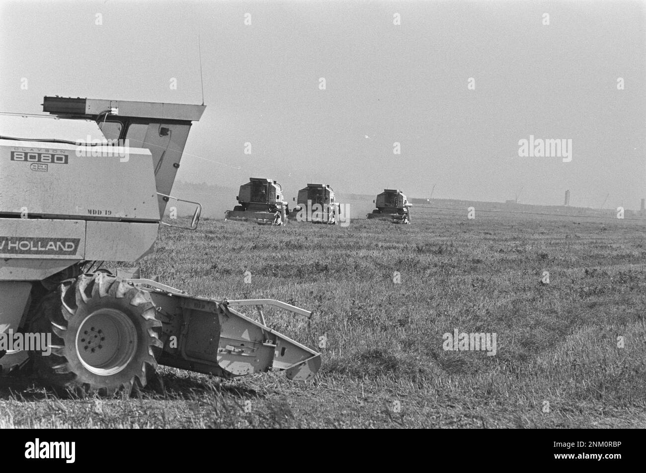 1980s netherlands farming hi-res stock photography and images - Alamy