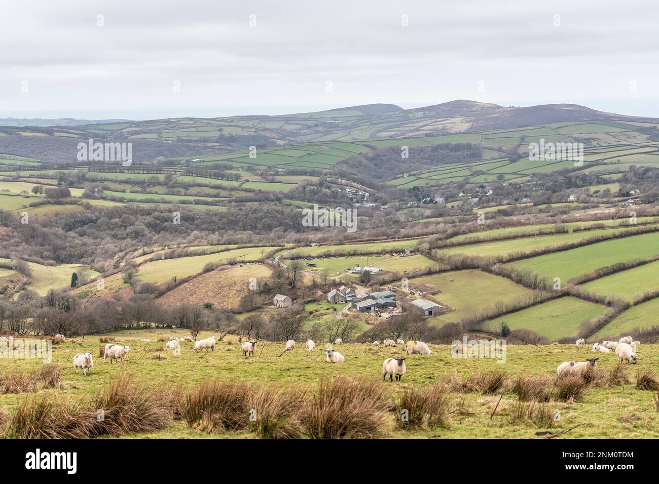 Exmoor national park hi-res stock photography and images - Alamy